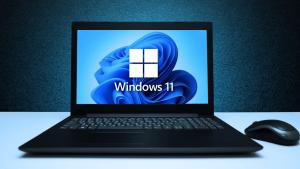 Windows 11 Steals the Lead from Windows 10 as the Most Installed ...