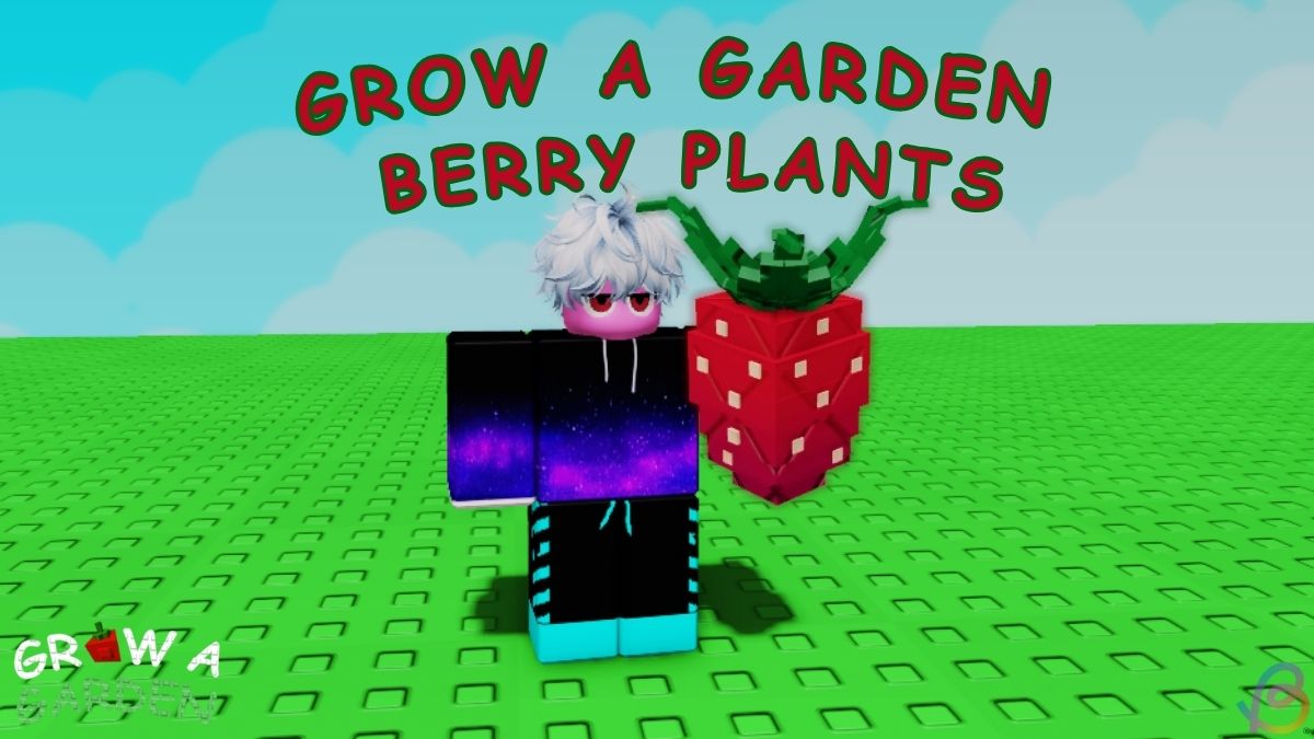 All Berry Plants in Grow a Garden Roblox | Beebom