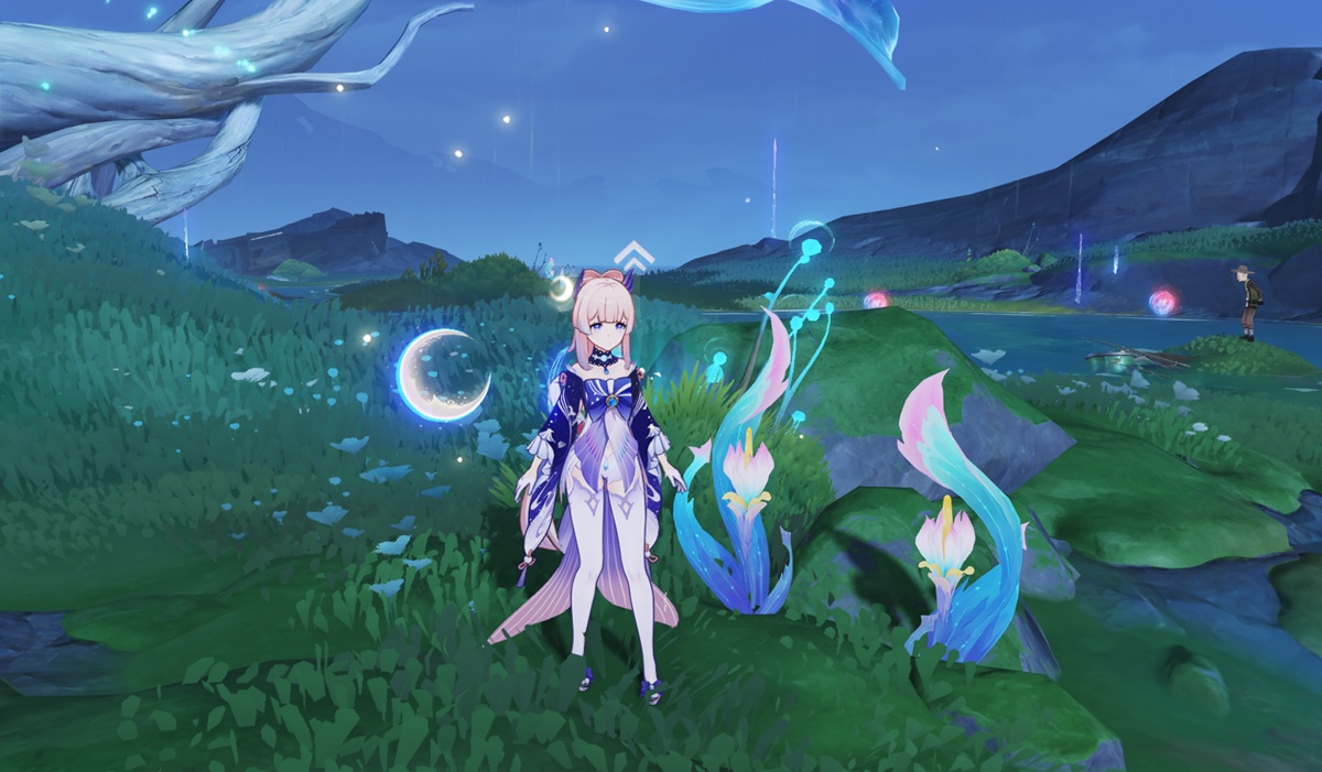 Genshin Impact Frostlamp Flower Locations and Farm Route | Beebom