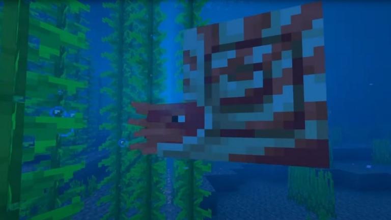 Minecraft Nautilus: How to Find, Tame, and Ride the Aquatic Mob | Beebom