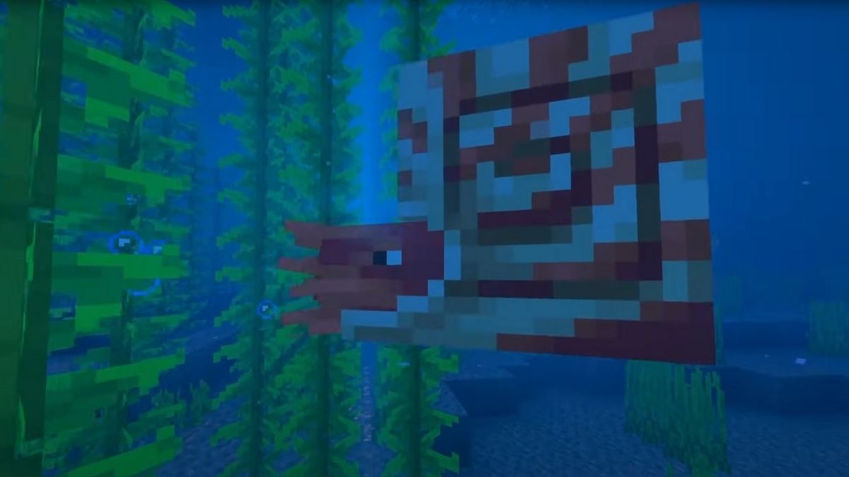 Minecraft Nautilus: How to Find, Tame, and Ride the Aquatic Mob | Beebom