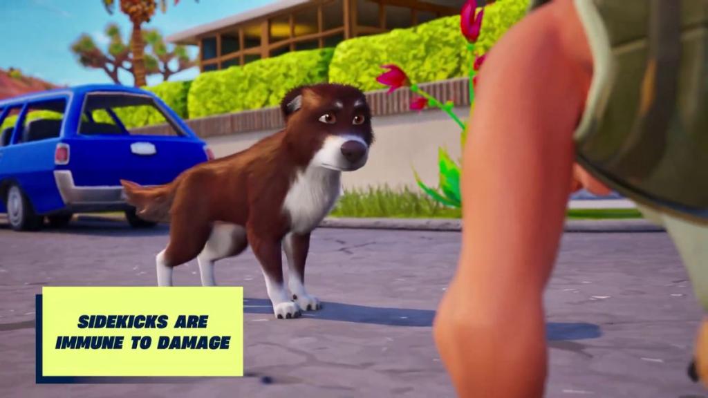 Fortnite Sidekicks Explained: How to Get and Customize Pets | Beebom