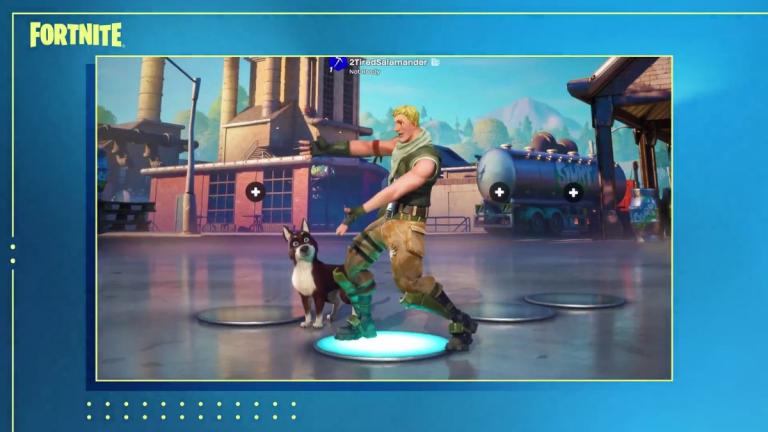 Fortnite Sidekicks Explained: How to Get and Customize Pets | Beebom