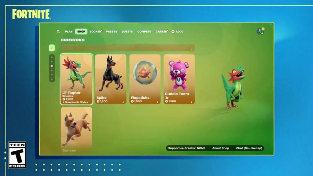 Fortnite Sidekicks Explained: How to Get and Customize Pets | Beebom