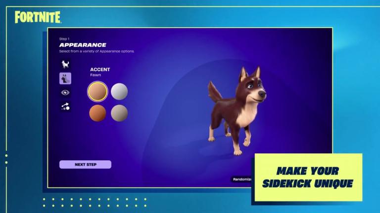 Fortnite Sidekicks Explained: How to Get and Customize Pets | Beebom