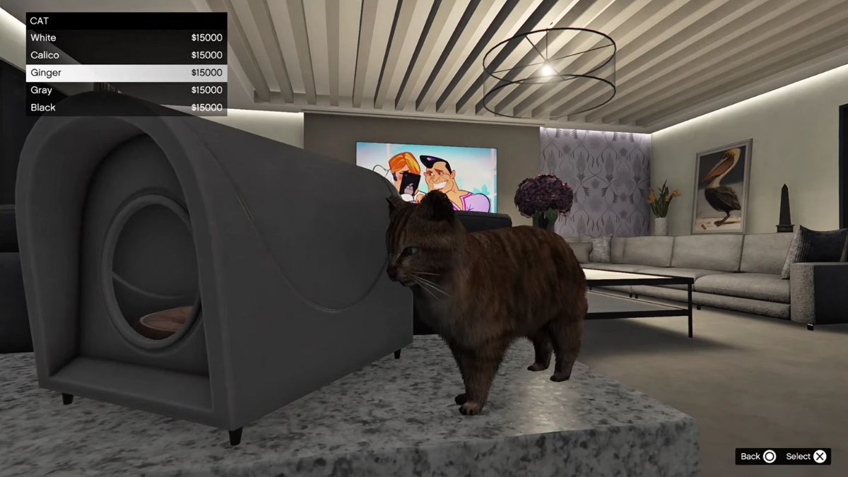 How to Get Pets in GTA Online Mansions Update: All Pets, Prices, and ...