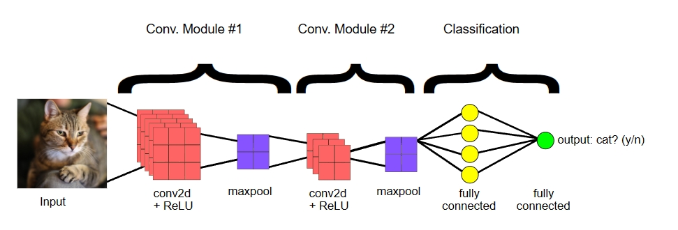 What is CNN in Deep Learning? The AI Behind Computer Vision | Beebom
