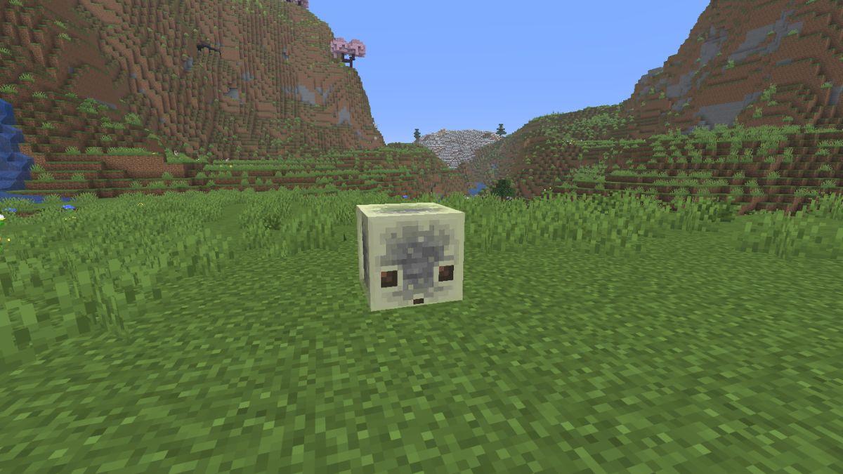All Minecraft Sulfur Cube Archetypes Explained | Beebom