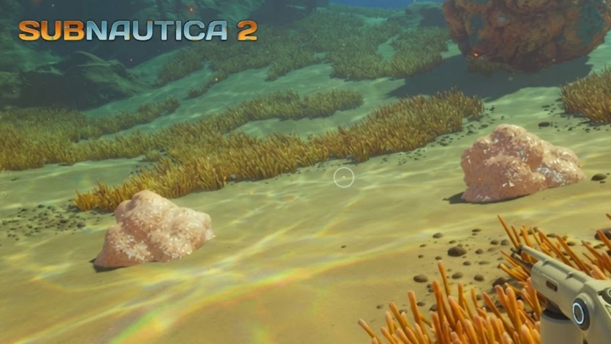 How to Find Salt in Subnautica 2 | Beebom